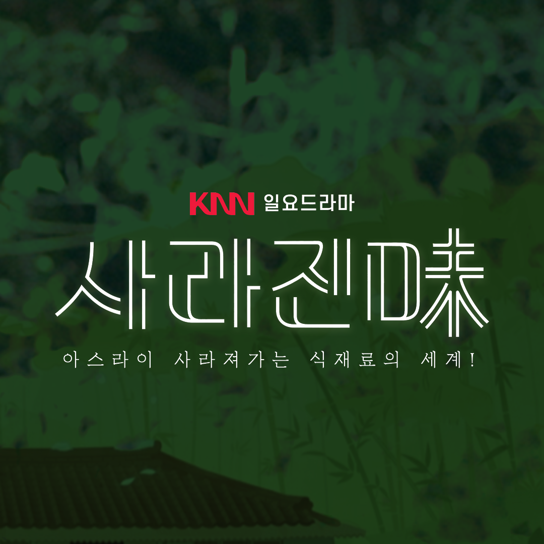 부산경남대표방송 KNN On-Air